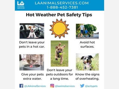 The Los Angeles News. - Los Angeles California Local News, Events ...